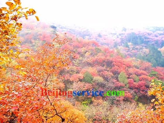 Fragrant Hill Park